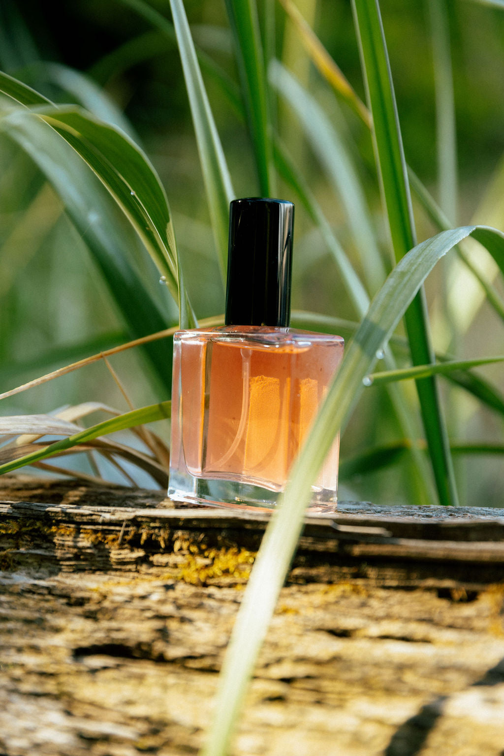 Wild Coast Perfumery Natural Perfumes