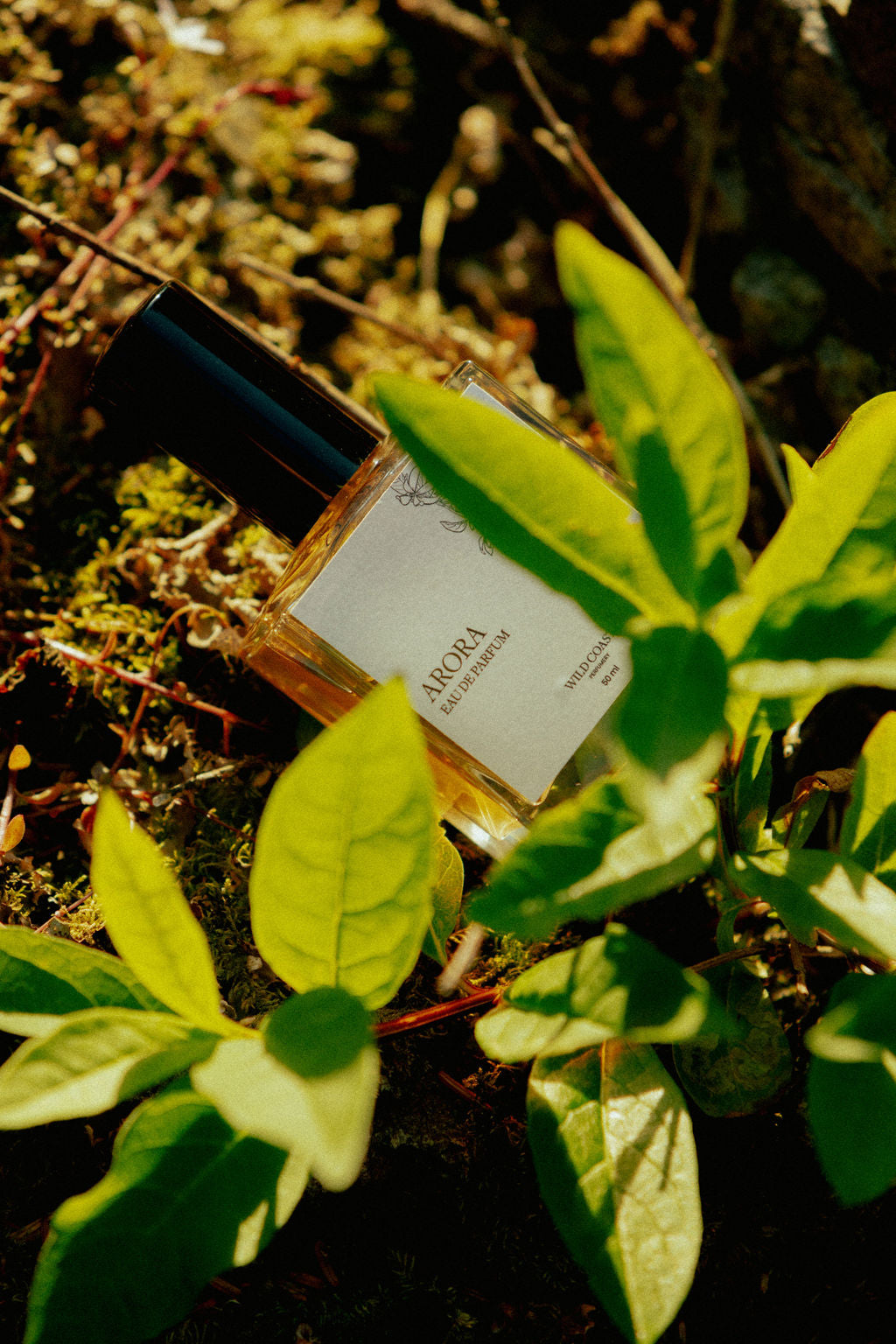 Arora eau de parfum – Wild Coast Perfumery